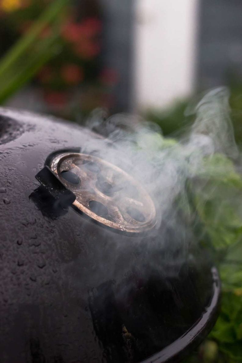 Cold Smoking PDF Guide - Theory & Equipment