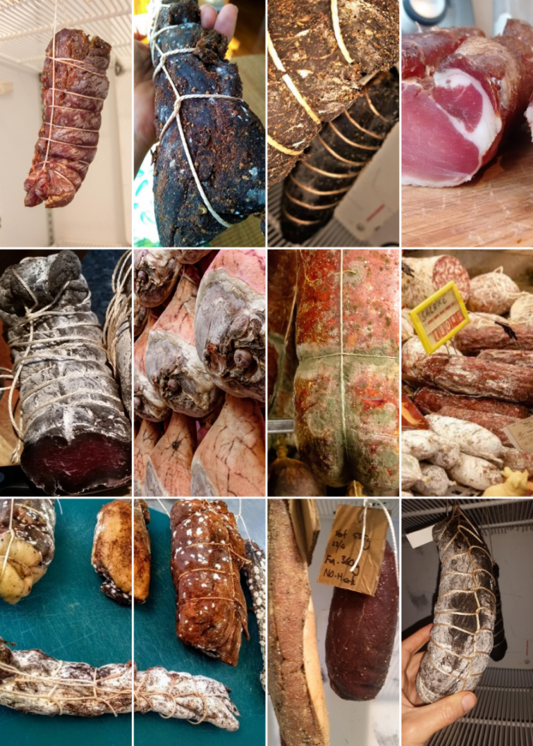 Understanding Molds on Cured Meat