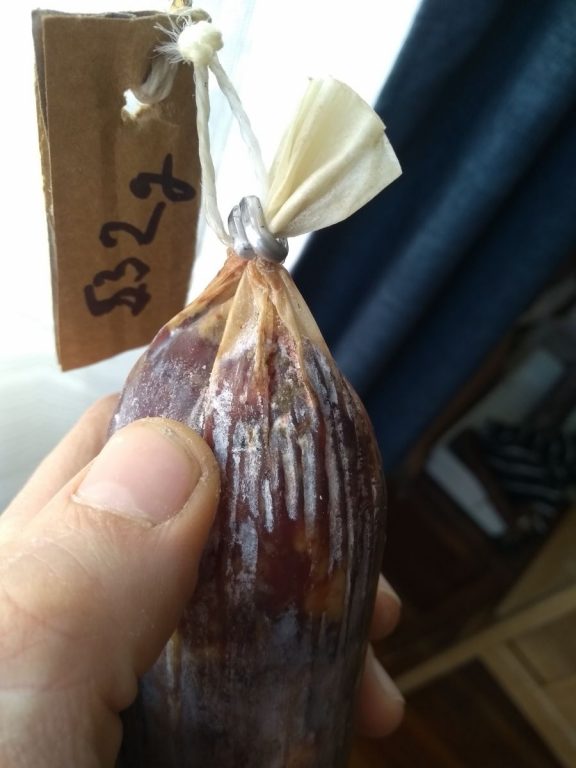 Understanding Molds on Cured Meat